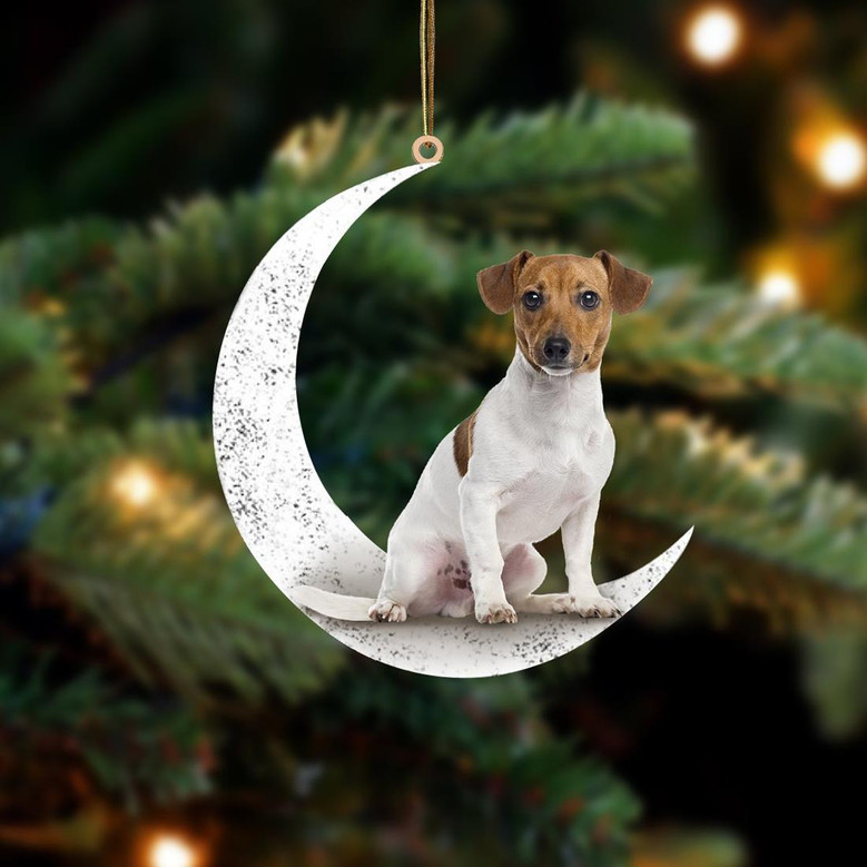 Jack Russell Terrier 2-Sit On The Moon-Two Sided Ornament - Thegiftio