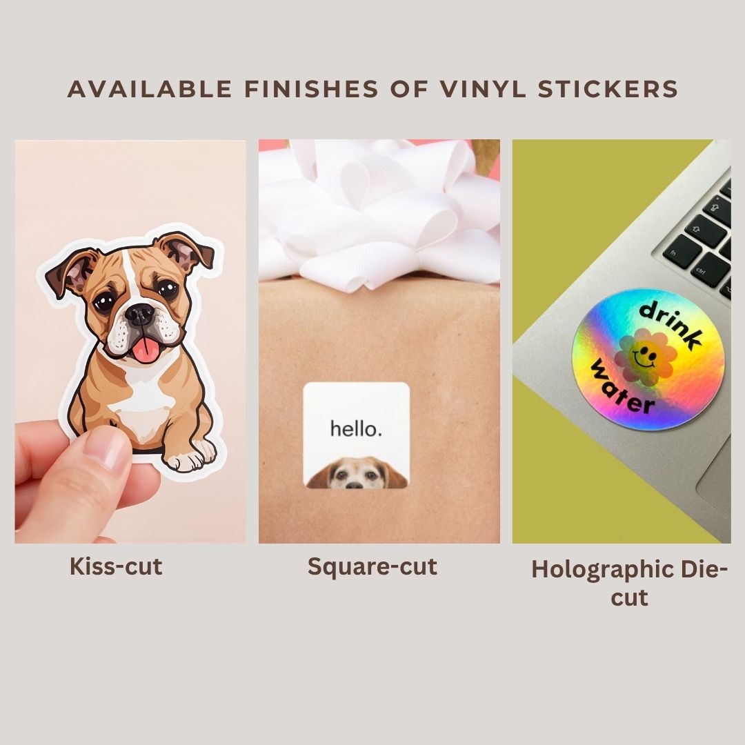 Raccoon Peeker from Hot Cocoa Mug Sticker - Raccsy